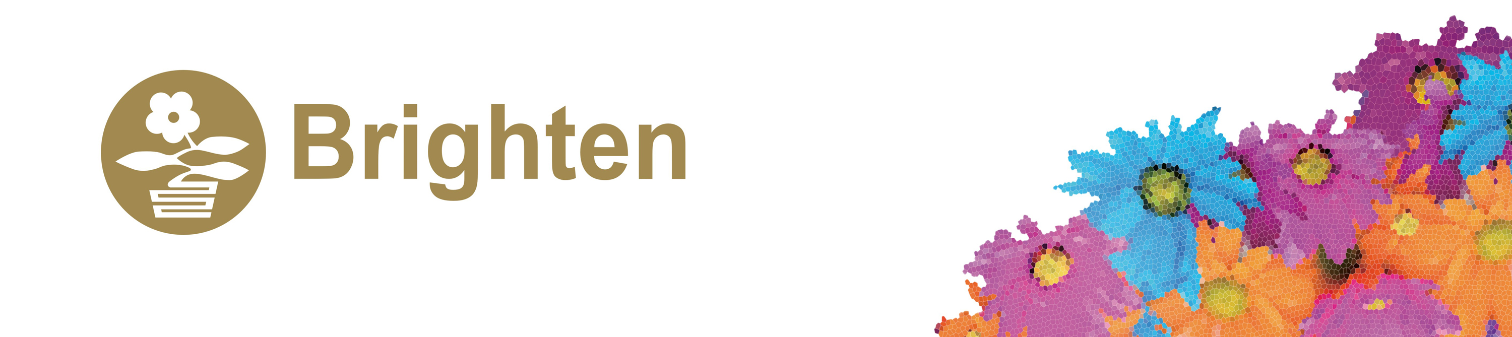 Brighten International